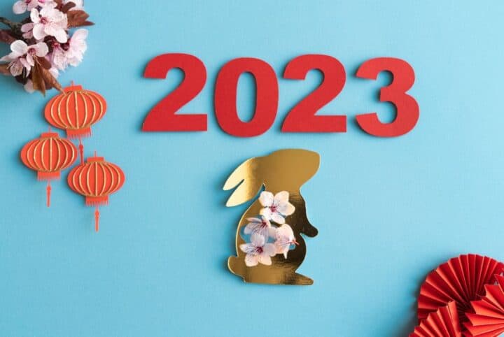 Year of the Rabbit 2023 Coloring Pages - Made with HAPPY