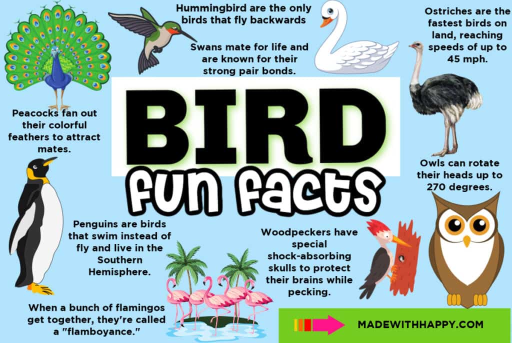 101+ Fun Animal Facts For Kids - Made with HAPPY