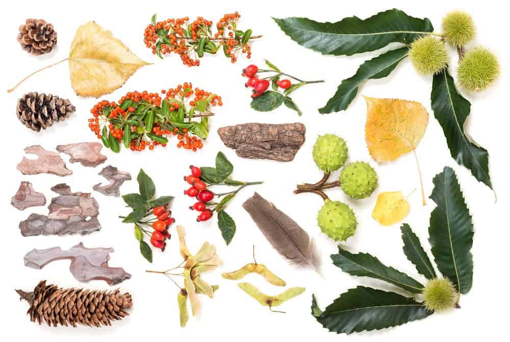 How to Make a Fall Sensory Bin - Made with HAPPY