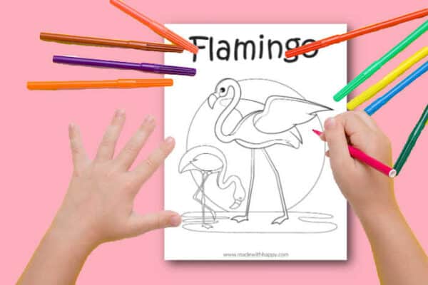 Flamingo Coloring Pages - Made with HAPPY