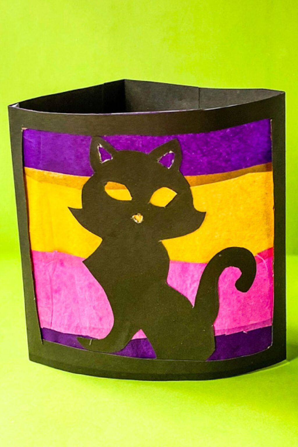 Easy DIY Black Cat Paper Halloween Luminaries - Made with HAPPY
