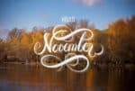 November Fun Facts - Made with HAPPY