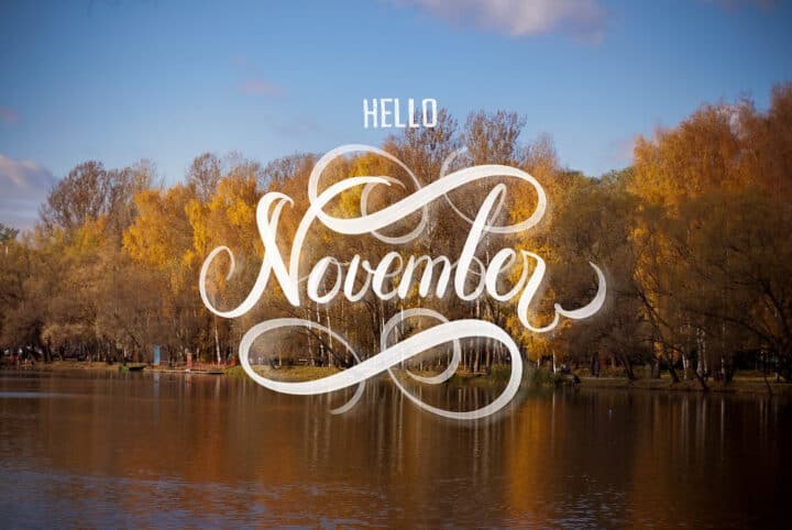 November Fun Facts - Made with HAPPY