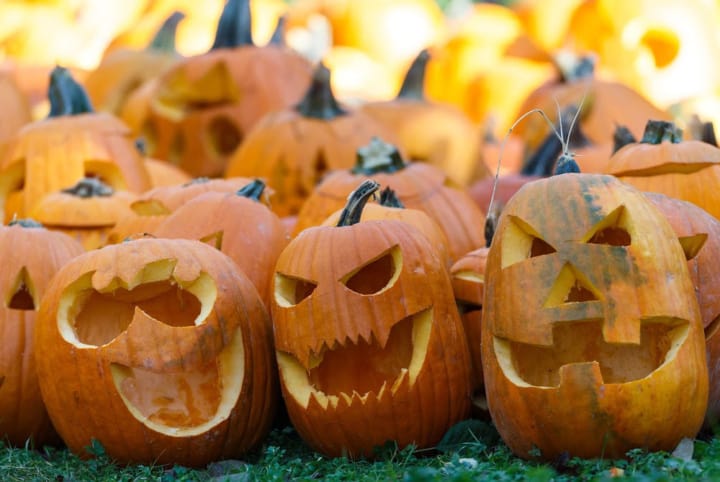 Pumpkin Facts For Kids With Printable Pumpkin Activities