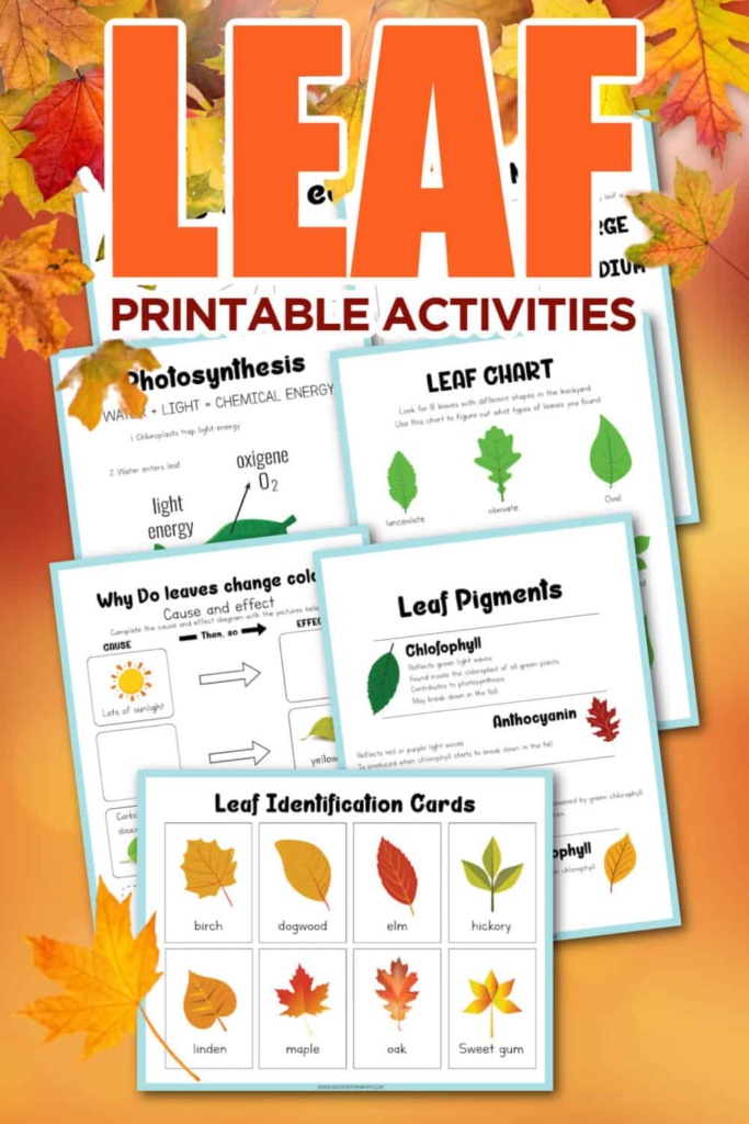 Printable Leaf Activities - Made with HAPPY