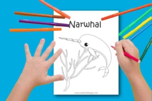Free Printable Narwhal Coloring Page - Made with HAPPY