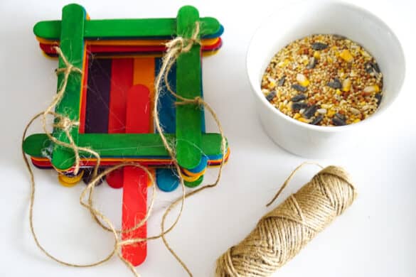 Popsicle Stick Bird Feeder Craft - Made with HAPPY