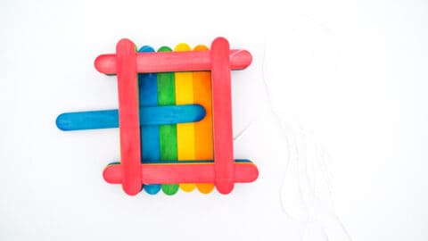 Popsicle Stick Bird Feeder Craft - Made with HAPPY