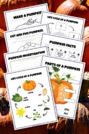 Pumpkin Facts For Kids With Printable Pumpkin Activities