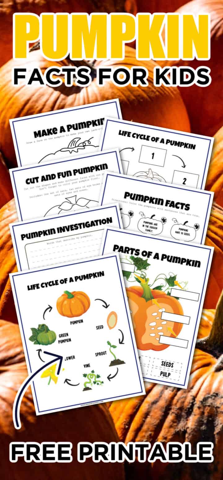 Pumpkin Facts For Kids With Printable Pumpkin Activities