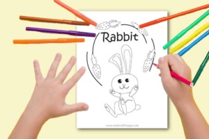 Bunny Rabbit Coloring Pages - Made with HAPPY