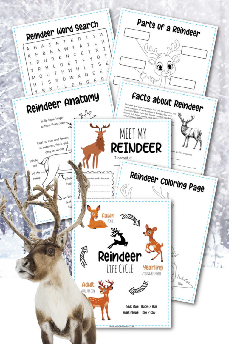 35 Reindeer Facts For Kids Free Printables Made With HAPPY 35 Reindeer Facts For Kids Free Printables Made With HAPPY