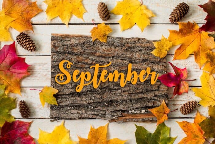 September Fun Facts - Made with HAPPY