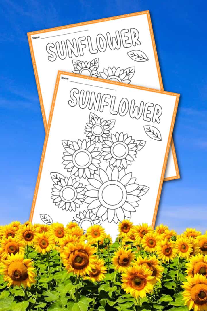 Printable Sunflower Coloring Page - Made with HAPPY