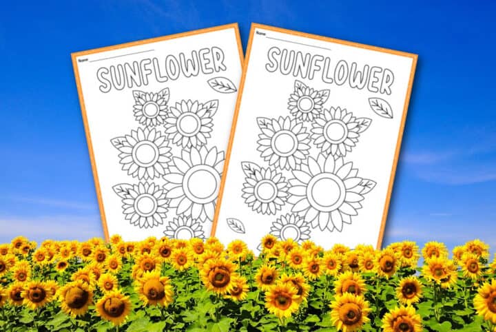 Printable Sunflower Coloring Page - Made with HAPPY