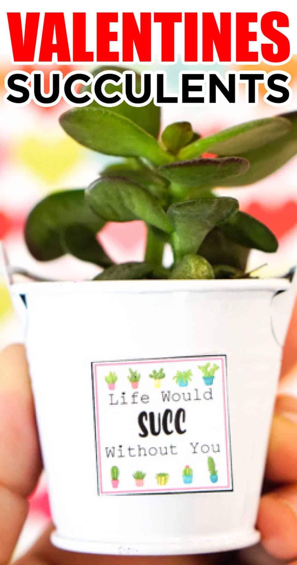 Valentines Day Succulent Printables - Made with HAPPY