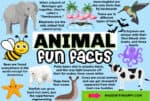 101+ Easy and Fun Animal Crafts and Activities For Kids