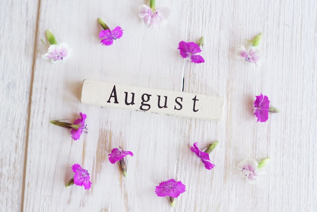 50+ Awesome August Fun Facts - Made with HAPPY