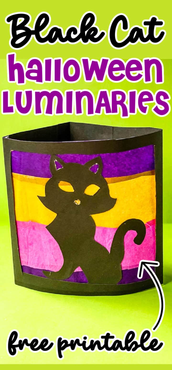 Easy DIY Black Cat Paper Halloween Luminaries - Made with HAPPY