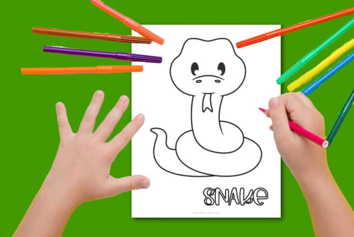 Printable Snake Coloring Page - Made with HAPPY