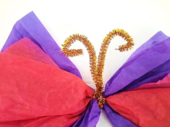 Make Easy Tissue Paper Butterflies Crafts with Kids - Made with HAPPY