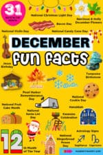 December Fun Facts - Made with HAPPY