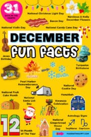 December Fun Facts - Made with HAPPY