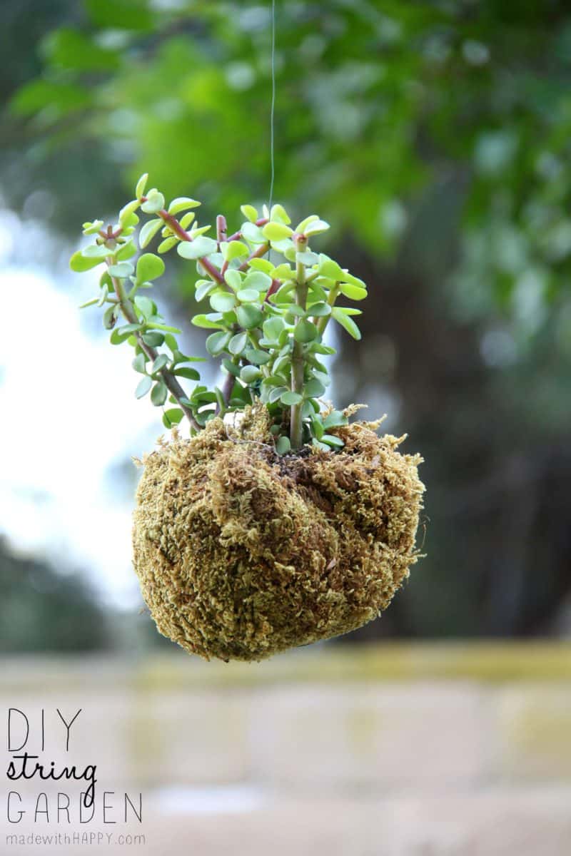 DIY String Garden - Made with HAPPY