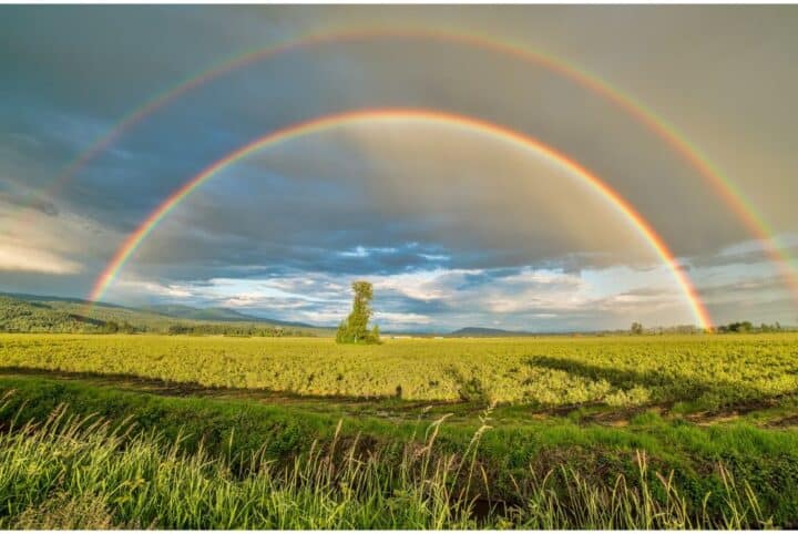 Facts About Rainbows - Made with HAPPY