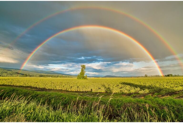 Facts About Rainbows - Made with HAPPY