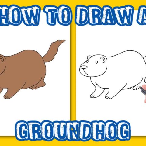 How To Draw a Groundhog - Easy Step-By-Step Tutorial - Made with HAPPY