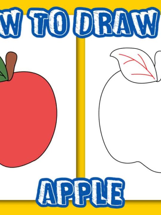 Apple Drawings