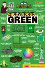 50+ Fun Facts About The Color Green - Made with HAPPY