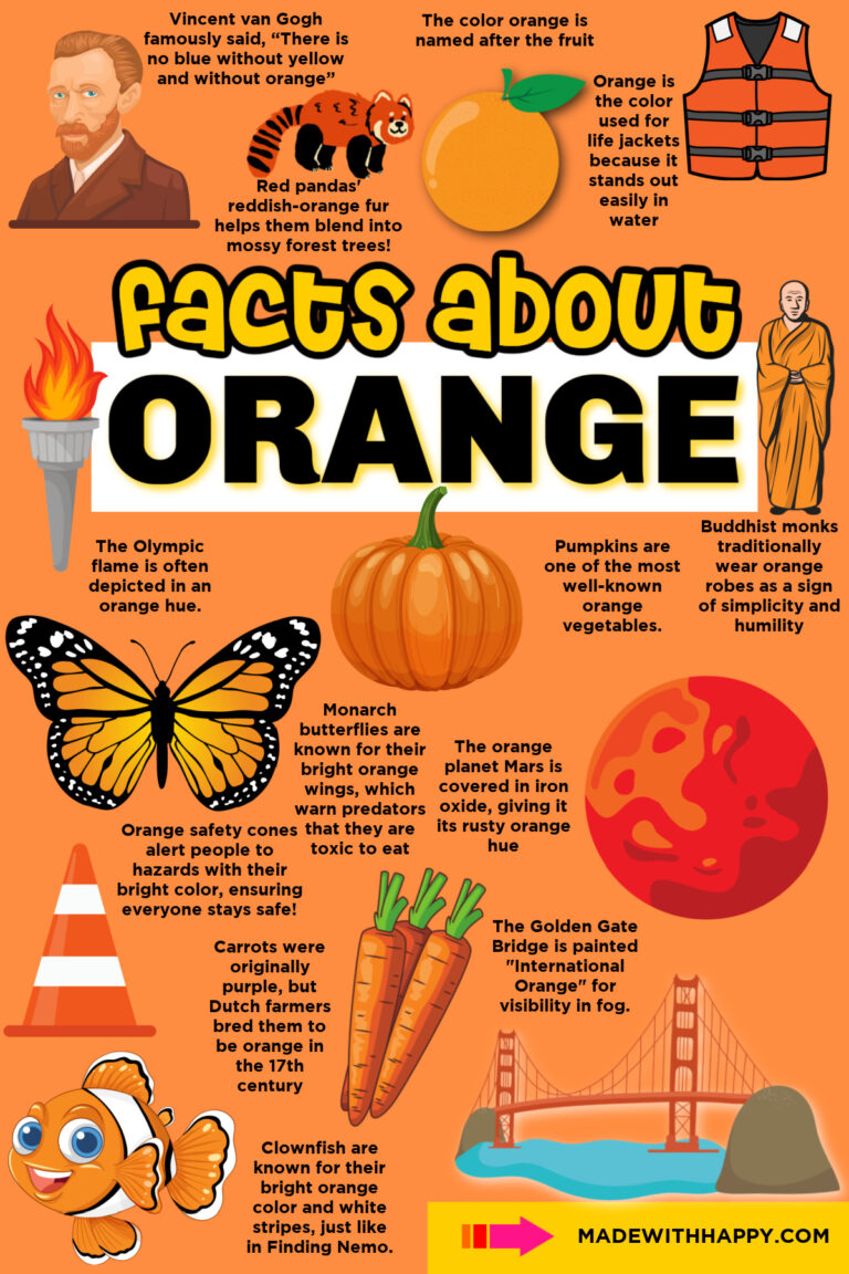 50+ Fun Facts About The Color Orange - Made with HAPPY