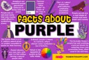 50+ Fun Facts About The Color Purple - Made with HAPPY
