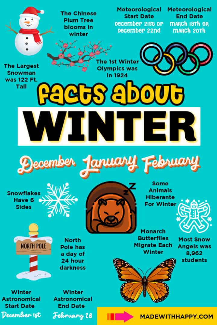 75+ Fun Facts About Winter - Made with HAPPY