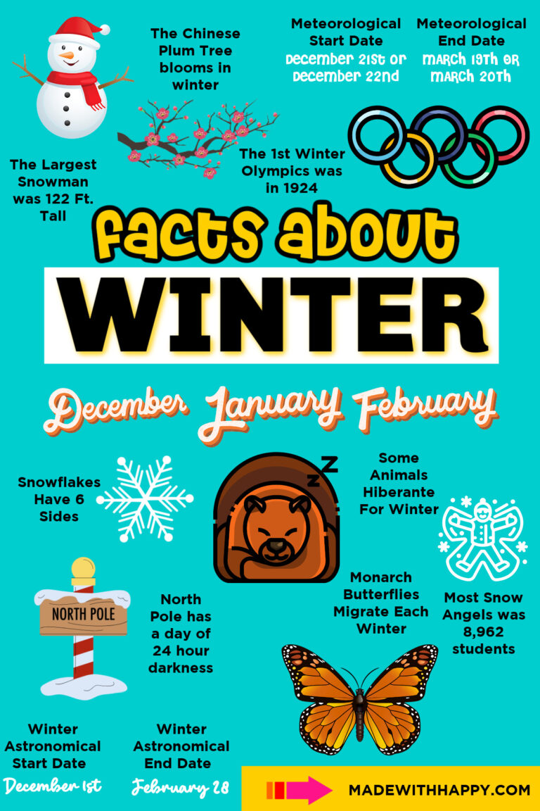 75+ Fun Facts About Winter - Made with HAPPY