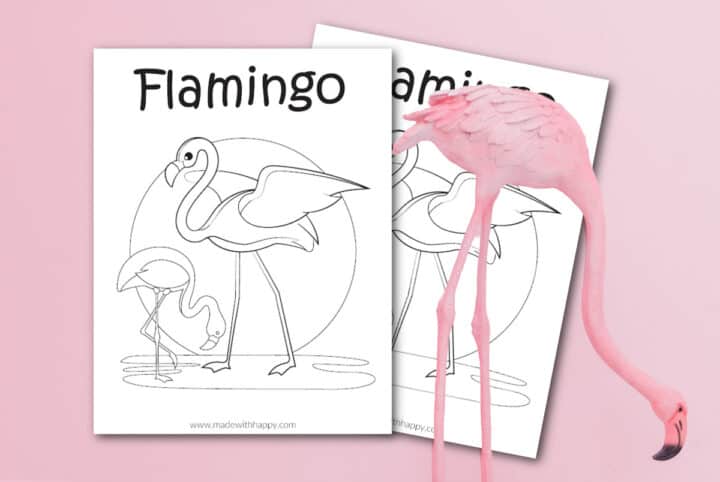 Flamingo Coloring Pages - Made with HAPPY