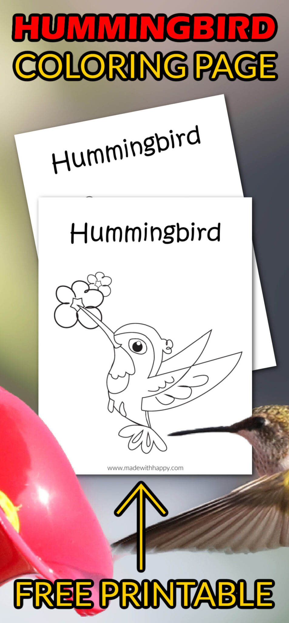 Free Printable Hummingbird Coloring Page For Kids - Made with HAPPY