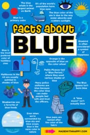Fun Facts About The Color Blue - Made with HAPPY