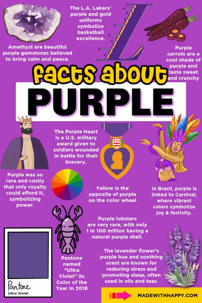 50+ Fun Facts About The Color Purple - Made with HAPPY