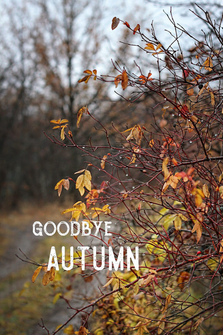 Fun Facts About Fall For Kids - Made with HAPPY
