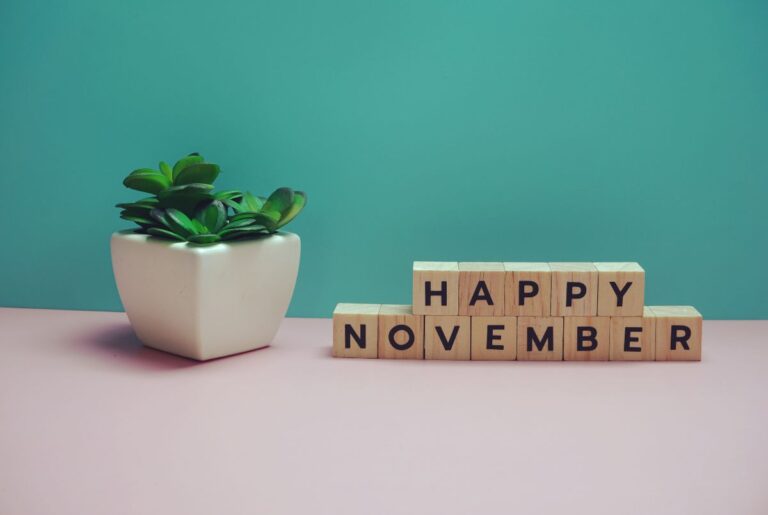 November Fun Facts - Made with HAPPY