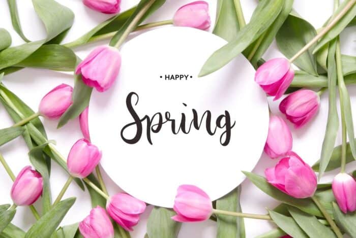 Facts About Spring - Made with HAPPY