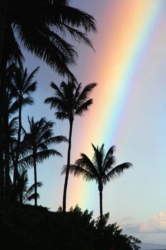 Facts About Rainbows - Made with HAPPY