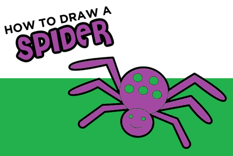 How to Draw a Spider - Easy Step By Step Drawing Tutorial