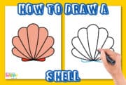 How To Draw a Shell - Easy Step-by-Step Tutorial - Made with HAPPY