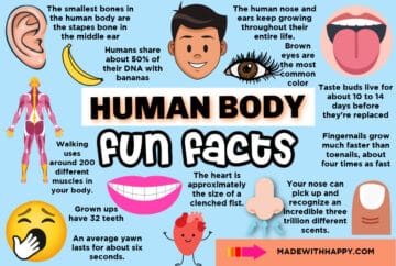 365+ Fun Facts For Kids - Made with HAPPY
