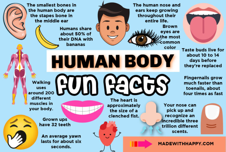365+ Fun Facts For Kids - Made with HAPPY