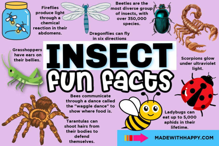101+ Fun Animal Facts For Kids - Made with HAPPY